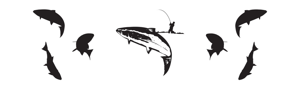 Engraved Salmon Glassware | Giles Lawson Johnston Engraved Glass
